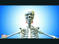 Contraction GIFs - Get the best gif on GIFER