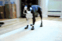Booties GIFs - Get the best gif on GIFER