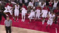 Razorback GIFs - Get the best gif on GIFER