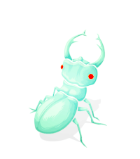 Stagbeetle GIFs - Get the best gif on GIFER