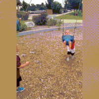 Beware GIFs - Get the best gif on GIFER