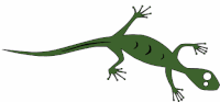 Lizards GIFs - Get the best gif on GIFER