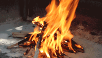 Campfire GIFs - Get the best gif on GIFER