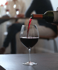 Wines GIFs - Get the best gif on GIFER