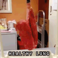 Lung GIFs - Get the best gif on GIFER