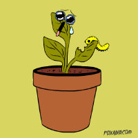 Leaf GIFs - Get the best gif on GIFER