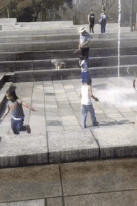 Examples GIFs - Get the best gif on GIFER