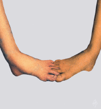 Toe GIFs - Get the best gif on GIFER