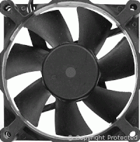 Fans GIFs - Get the best gif on GIFER