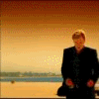 Expert GIFs - Get the best gif on GIFER