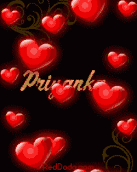 Stp GIFs - Get the best gif on GIFER