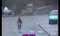 Brag GIFs - Get the best gif on GIFER