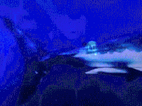 Deftones GIFs - Get the best gif on GIFER