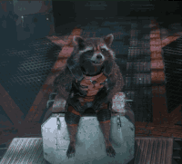 Rocket raccoon GIFs - Get the best gif on GIFER
