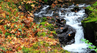 River GIFs - Get the best gif on GIFER