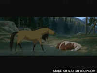 Spirit GIFs - Get the best gif on GIFER