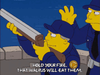 Guarding GIFs - Get the best gif on GIFER