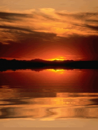 Riverside GIFs - Get the best gif on GIFER