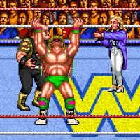 Wwf GIFs - Get the best gif on GIFER