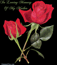 Memory GIFs - Get the best gif on GIFER