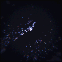 Bright lights GIFs - Get the best gif on GIFER