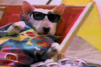 Spud GIFs - Get the best gif on GIFER