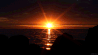 Calming GIFs - Get the best gif on GIFER