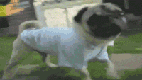 Sup GIFs - Get the best gif on GIFER