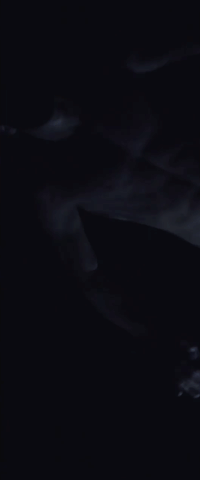 Backlit GIFs - Get the best gif on GIFER