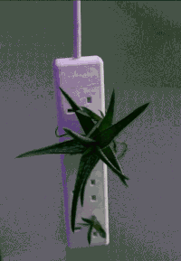 Plug me in GIF - Conseguir el mejor gif en GIFER