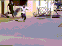 Cop GIFs - Get the best gif on GIFER