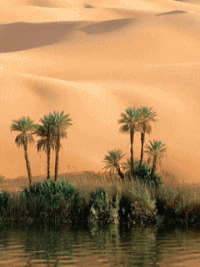Desert GIFs - Get the best gif on GIFER