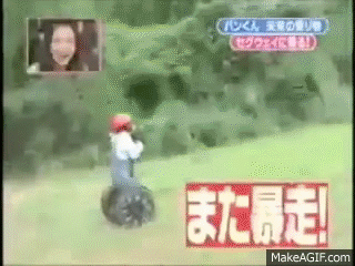 Chimpance GIF - Conseguir el mejor gif en GIFER