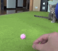 Reflex GIFs - Get the best gif on GIFER