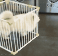 Convict GIFs - Get the best gif on GIFER