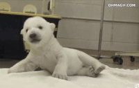 Newborn GIFs - Get the best gif on GIFER