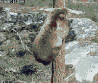 Climbs GIFs - Get the best gif on GIFER