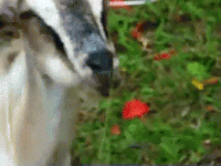 Transcending GIFs - Get the best gif on GIFER