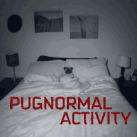 Activities GIFs - Get the best gif on GIFER
