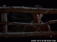 Pair GIFs - Get the best gif on GIFER