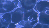 Pools GIFs - Get the best gif on GIFER