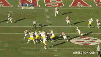 Lsu GIFs - Get the best gif on GIFER