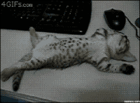 Cansado GIFs - Get the best gif on GIFER