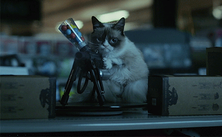 Catmachine GIF - Conseguir o melhor gif em GIFER