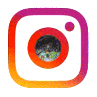 Instagram GIFs - Get the best gif on GIFER