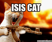 Isis GIFs - Get the best gif on GIFER