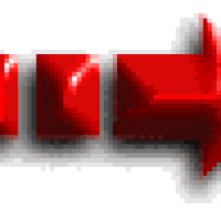 Seta GIFs - Get the best gif on GIFER