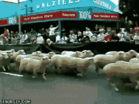 Classmate GIFs - Get the best gif on GIFER