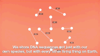 Biochemistry GIFs - Get the best gif on GIFER