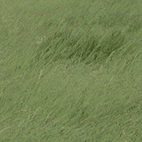 Grass GIFs - Get the best gif on GIFER